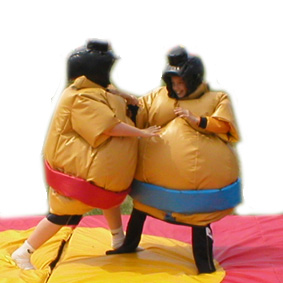 Hippo Bounce - Sumo Suit Hire